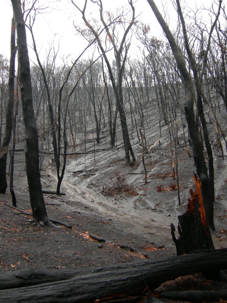 Assessment of post fire debris flow management - Alluvium Consulting