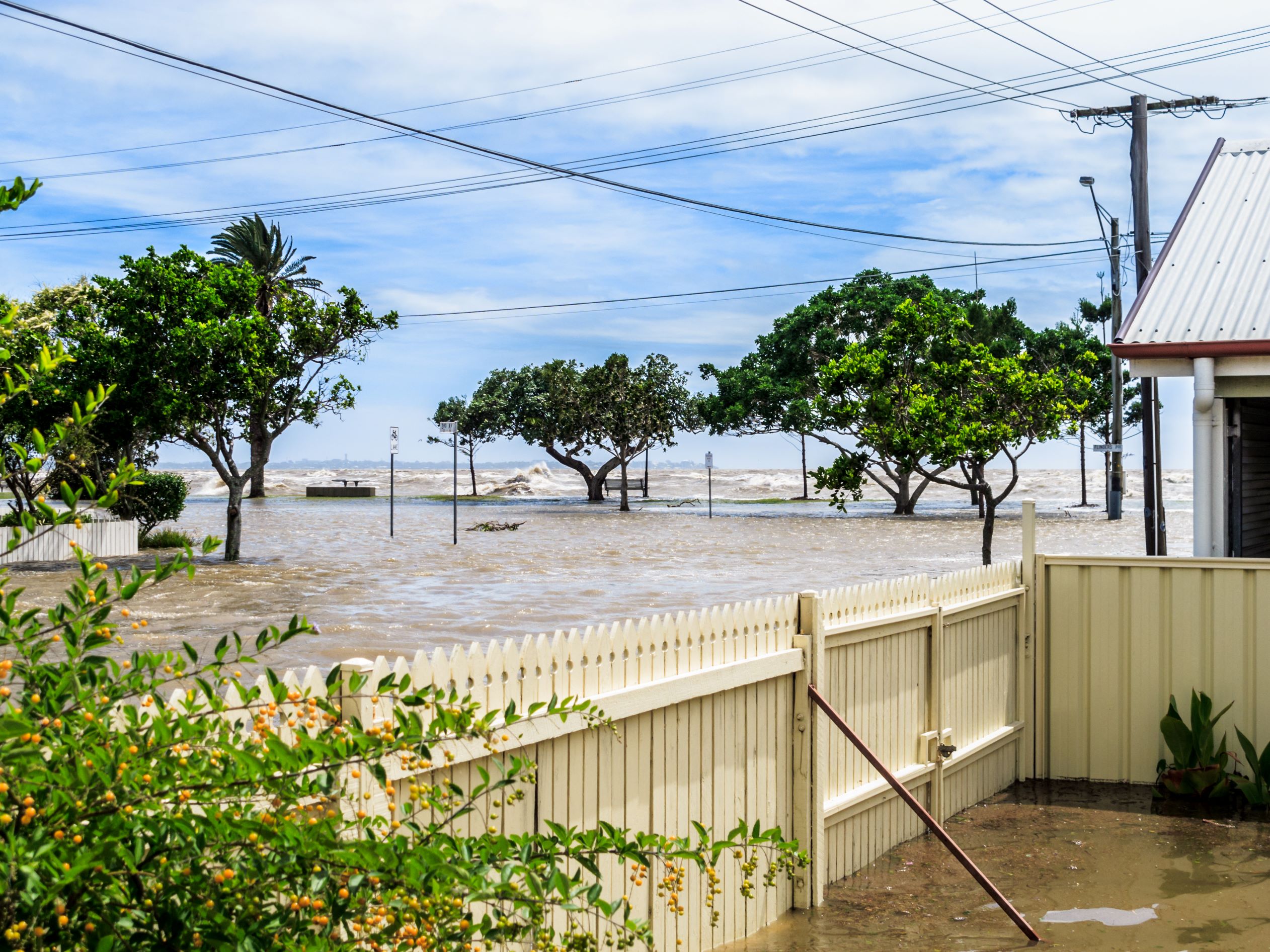 Climate Adaptation and Resilience - Consultants, Experts, Specialists ...